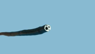 Chine BF-1T200 Bronchoscope flexible compatible avec le CV240 à vendre