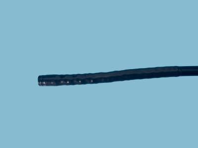 China CF-H290L Colonoscopio flexible de alta definición de 170 grados para productos endoscópicos en venta