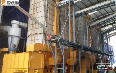 Κίνα 10 τόνοι ανά ξηρότερη μηχανή ορυζώνα τύπων ροής batch διαγώνια προς πώληση