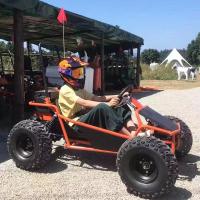 Quality Amusement Park Rental Golf Buggy Cart with 1000W Brushless Motor and EEC Certification for sale