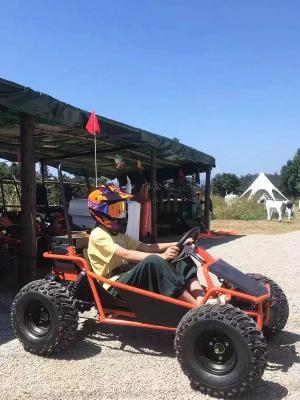 Snow and Sand Tracks 1000W Shaft Drive Go Kart Aotong Motor Electric Golf Buggy