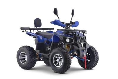 중국 GY6 Hummer 150CC/200CC/250CC/300cc Automatic Quad Bike for Adults Advanced Technology 판매용