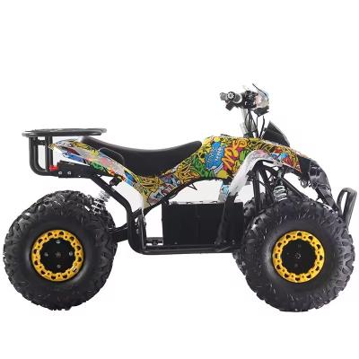 Customized Colors 1000W/1500W ATV Quads with Ft Disc Rr Disc Brake