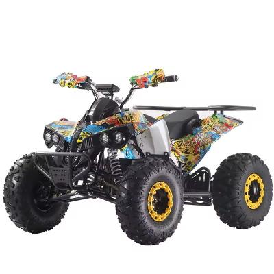Chine Customized Colors 1000W/1500W ATV Quads with Ft Disc Rr Disc Brake à vendre