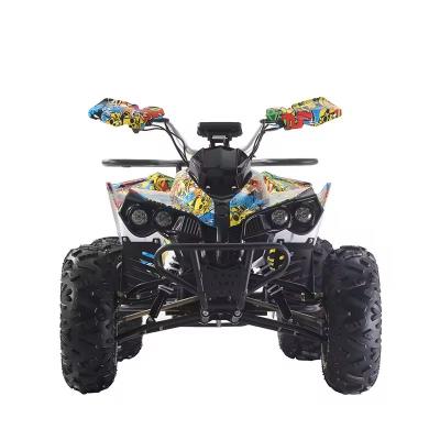Chine Customized Colors 1000W/1500W ATV Quads with Ft Disc Rr Disc Brake à vendre