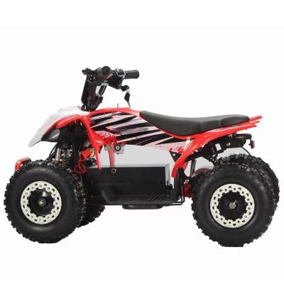 중국 Front Disc Rear Disc Brake System The Ultimate Safety Feature for Off Road Riding 판매용