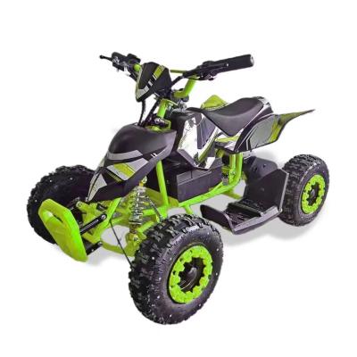Mini Four Wheel Motorcycle 800w Ce Certification Kids Electric 4 Wheeler Quad