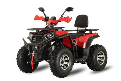 중국 Experience the Ultimate Off-Road Ride with Aotong Motor's 200cc 4x4 Quad Bike 판매용