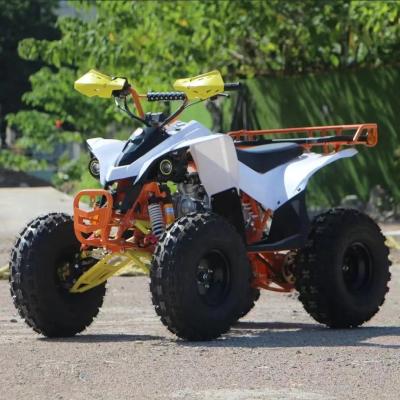 중국 110cc-125cc Automatic ATV for Adults CE Approved 8inch Tire Gasoline Quadbike Big Wheels 판매용