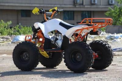 중국 110cc-125cc Automatic ATV for Adults CE Approved 8inch Tire Gasoline Quadbike Big Wheels 판매용