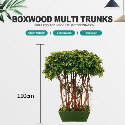 Cina Albero del legno di bosso con l'albero artificiale del legno di bosso dei multi tronchi per la decorazione dell'interno in vendita