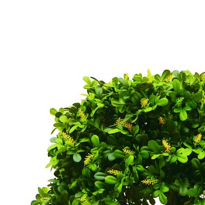 Cina Albero del legno di bosso con l'albero artificiale del legno di bosso dei multi tronchi per la decorazione dell'interno in vendita