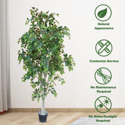 Cina Besting non vendendo sempreverde artificiale di cura dei bonsai della betulla bianca con la corteccia reale per il balcone in vendita