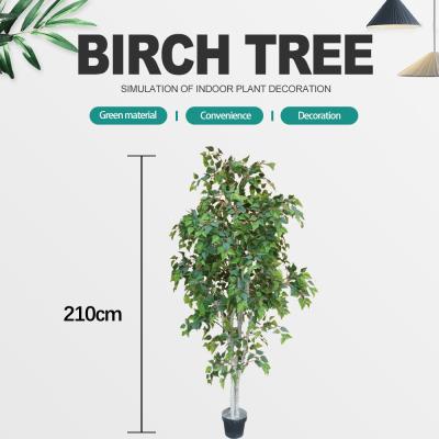 Cina Besting non vendendo sempreverde artificiale di cura dei bonsai della betulla bianca con la corteccia reale per il balcone in vendita