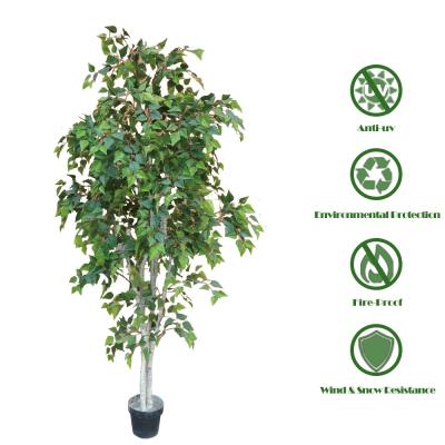 Cina Besting non vendendo sempreverde artificiale di cura dei bonsai della betulla bianca con la corteccia reale per il balcone in vendita