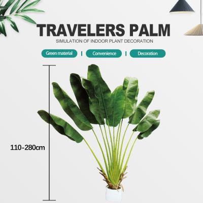 Китай Factory Price New Designs Customized Artificial Potted Traveller Palm Faux Trees BIRD OF PARADISE  Artificial Bonsai продается