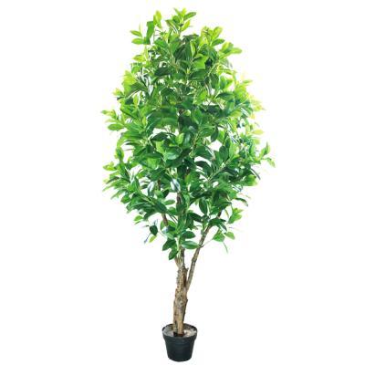 Cina Abitudine sempreverde d'abbellimento di benedizione artificiale ignifuga della pianta del Faux di progetto dell'albero in vendita