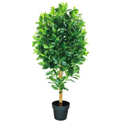 Cina Abitudine sempreverde d'abbellimento di benedizione artificiale ignifuga della pianta del Faux di progetto dell'albero in vendita