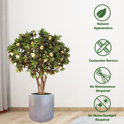 Cina Albero artificiale rispettoso dell'ambiente della magnolia nessun colore che sbiadisce le piante sempreverdi in vendita