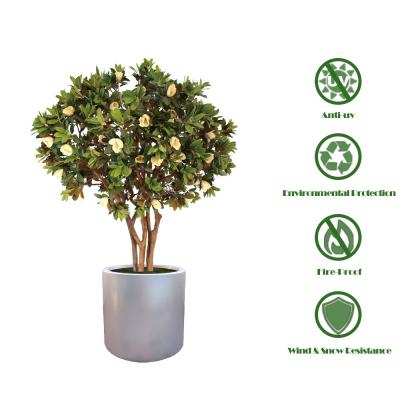 Cina Albero artificiale rispettoso dell'ambiente della magnolia nessun colore che sbiadisce le piante sempreverdi in vendita