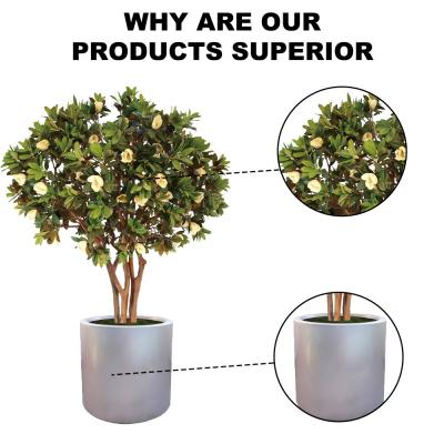 Cina Albero artificiale rispettoso dell'ambiente della magnolia nessun colore che sbiadisce le piante sempreverdi in vendita
