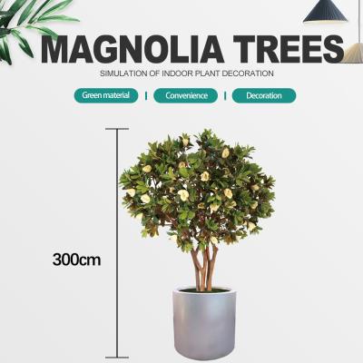 Cina Albero artificiale rispettoso dell'ambiente della magnolia nessun colore che sbiadisce le piante sempreverdi in vendita