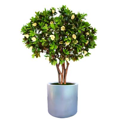 Cina Albero artificiale rispettoso dell'ambiente della magnolia nessun colore che sbiadisce le piante sempreverdi in vendita