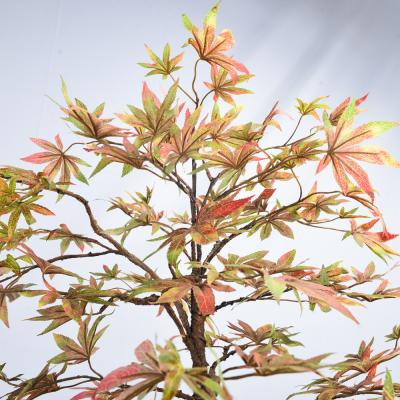 China El árbol de arce artificial los 200cm ninguna planta ligera del piso no alimenta a ningunos partes movibles las falsas plantas en conserva de mirada naturales para la decoración interior en venta