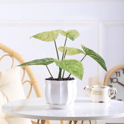 China SGS Artificial Potted Floor Plants High Simulation Plastic Philodendron Birkin for sale