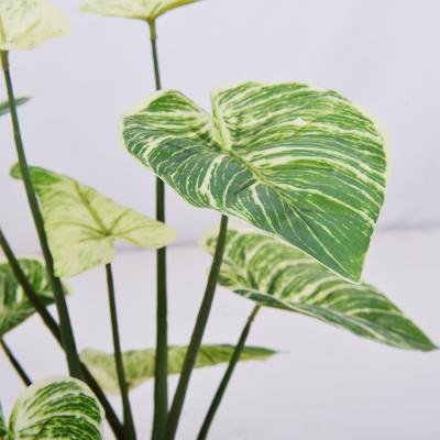 China SGS Artificial Potted Floor Plants High Simulation Plastic Philodendron Birkin for sale