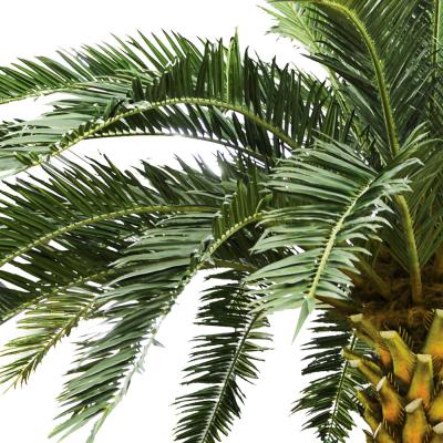 China Geen van het Landschapsbomen van de Verzorgingsopslag Kunstmatige Grote de Datumpalm Aangepaste Grootte Te koop