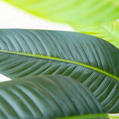 Китай Новая выпущенная искусственная райская птица с цветком для продажи продается