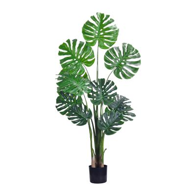 Κίνα 4ft 5.3ft 6ft Ρεαλιστικό Τεχνητό Φυτό Monstera Για Διακόσμηση Σπιτιού Και Γραφείου Διαθέσιμα Προσαρμοσμένα Μεγέθη προς πώληση
