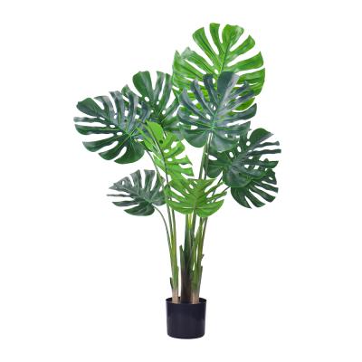 Κίνα 4ft 5.3ft 6ft Ρεαλιστικό Τεχνητό Φυτό Monstera Για Διακόσμηση Σπιτιού Και Γραφείου Διαθέσιμα Προσαρμοσμένα Μεγέθη προς πώληση