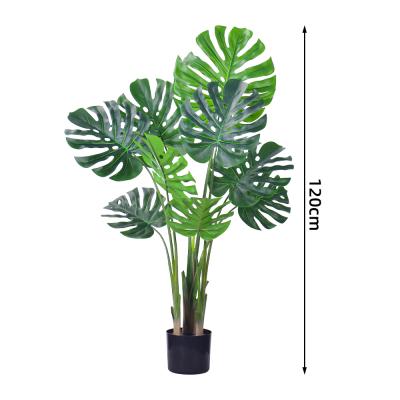 Κίνα 4ft 5.3ft 6ft Ρεαλιστικό Τεχνητό Φυτό Monstera Για Διακόσμηση Σπιτιού Και Γραφείου Διαθέσιμα Προσαρμοσμένα Μεγέθη προς πώληση