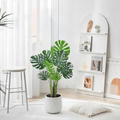 Κίνα 4ft 5.3ft 6ft Ρεαλιστικό Τεχνητό Φυτό Monstera Για Διακόσμηση Σπιτιού Και Γραφείου Διαθέσιμα Προσαρμοσμένα Μεγέθη προς πώληση