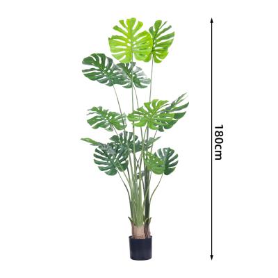 Κίνα 4ft 5.3ft 6ft Ρεαλιστικό Τεχνητό Φυτό Monstera Για Διακόσμηση Σπιτιού Και Γραφείου Διαθέσιμα Προσαρμοσμένα Μεγέθη προς πώληση