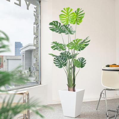 Κίνα 4ft 5.3ft 6ft Ρεαλιστικό Τεχνητό Φυτό Monstera Για Διακόσμηση Σπιτιού Και Γραφείου Διαθέσιμα Προσαρμοσμένα Μεγέθη προς πώληση