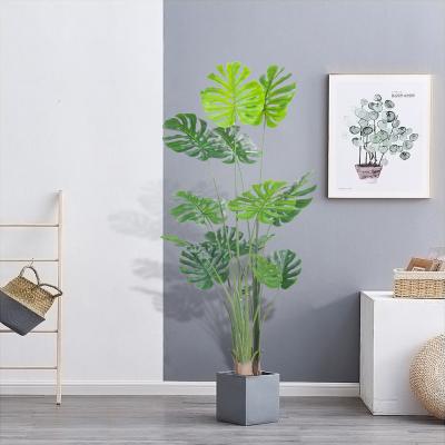 Κίνα 4ft 5.3ft 6ft Ρεαλιστικό Τεχνητό Φυτό Monstera Για Διακόσμηση Σπιτιού Και Γραφείου Διαθέσιμα Προσαρμοσμένα Μεγέθη προς πώληση