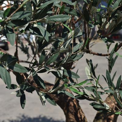 China Customized Realistic UV Resistant Large Indoor Olive Tree For Commercial Projects Residential Use for sale