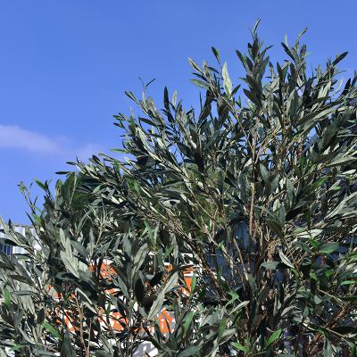 China Customized Realistic UV Resistant Large Indoor Olive Tree For Commercial Projects Residential Use for sale