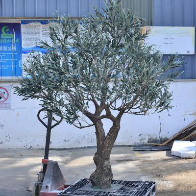 China Customized Realistic UV Resistant Large Indoor Olive Tree For Commercial Projects Residential Use for sale