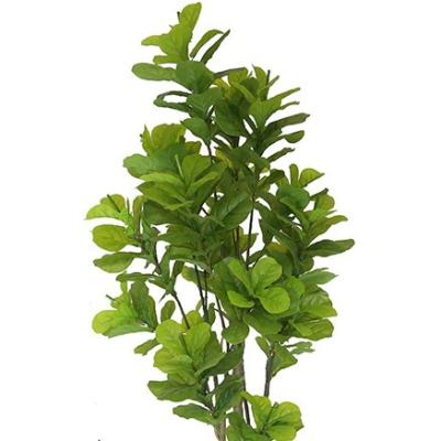 China Anti UV Artificial Potted Floor Plants High Simulation Perennial Fiddle Tree for sale