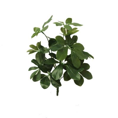 Cina albero artificiale dello Schefflera del bambino della pianta sempreverde di altezza di 140cm in vendita