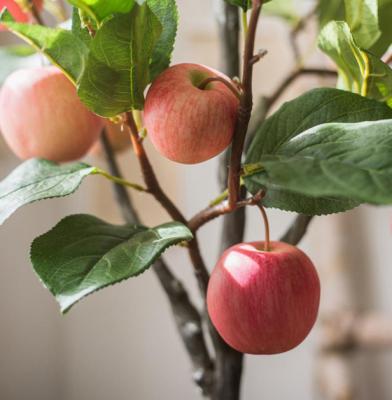 China Altura artificial da árvore de Apple 190cm da decoração vermelha do parque do partido à venda
