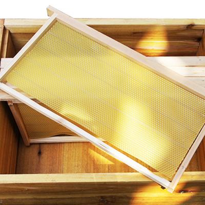 Cina Cedar Wood Bee Hive Foundation incornicia per l'OEM di Tesoro Agricoltura dell'arnia in vendita