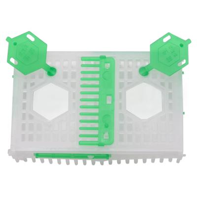 Cina Strumenti di apicoltura per le api cinesi ed italiane con la gabbia di plastica della regina del fermaglio del perno in vendita