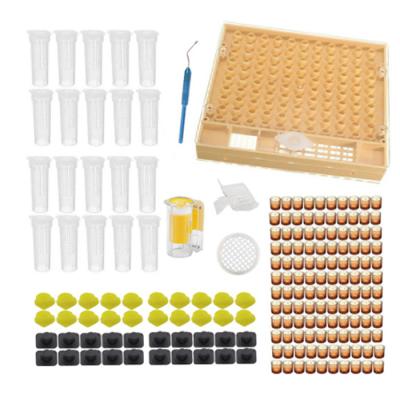 Cina Kit di utensili di apicoltura dell'arnia, materiale di Tesoro Bee Hive Accessories Plastic in vendita