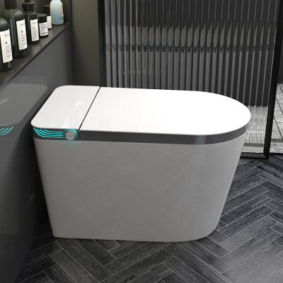 China Energy Saving Bathroom Smart Toilet Custom Size With Intelligent Cleaning System for sale
