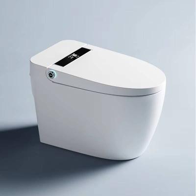 Cina Casa Bagno Bidet Intelligente Bagno Intelligente Disegno Umanizzato Installazione del Pavimento in vendita